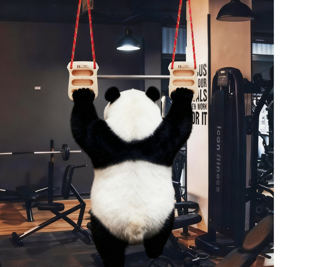 Beyond the Summit: The Unparalleled Physical Alchemy of Climbing and H ...